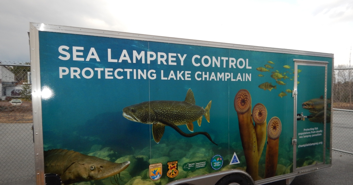 Sea Lamprey Control - Fact Sheets | U.S. Fish & Wildlife Service